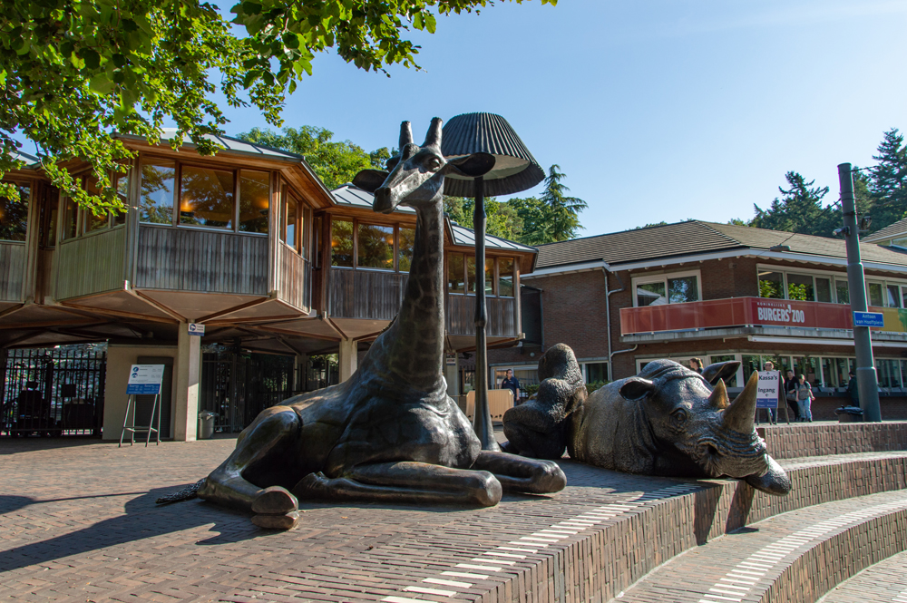 Kleurrijke beroepen in een dynamisch dierenpark