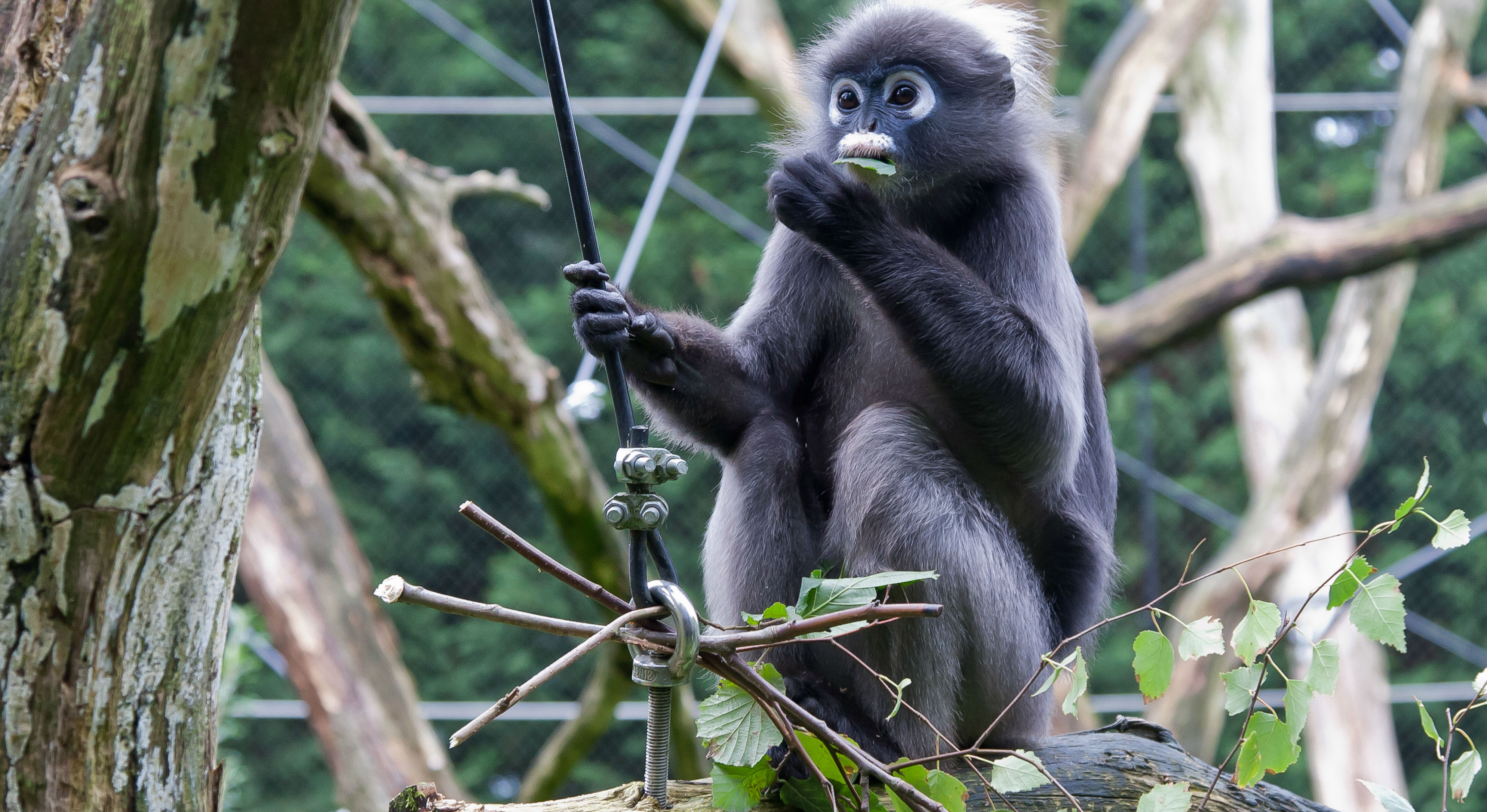 Werelddierendag in Burgers’ Zoo | Burgers' Zoo in Arnhem