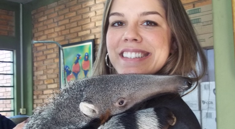 Natuurbehoud: Stichting Future For Nature