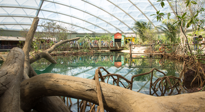 Rondleidingen | Burgers' Zoo in Arnhem