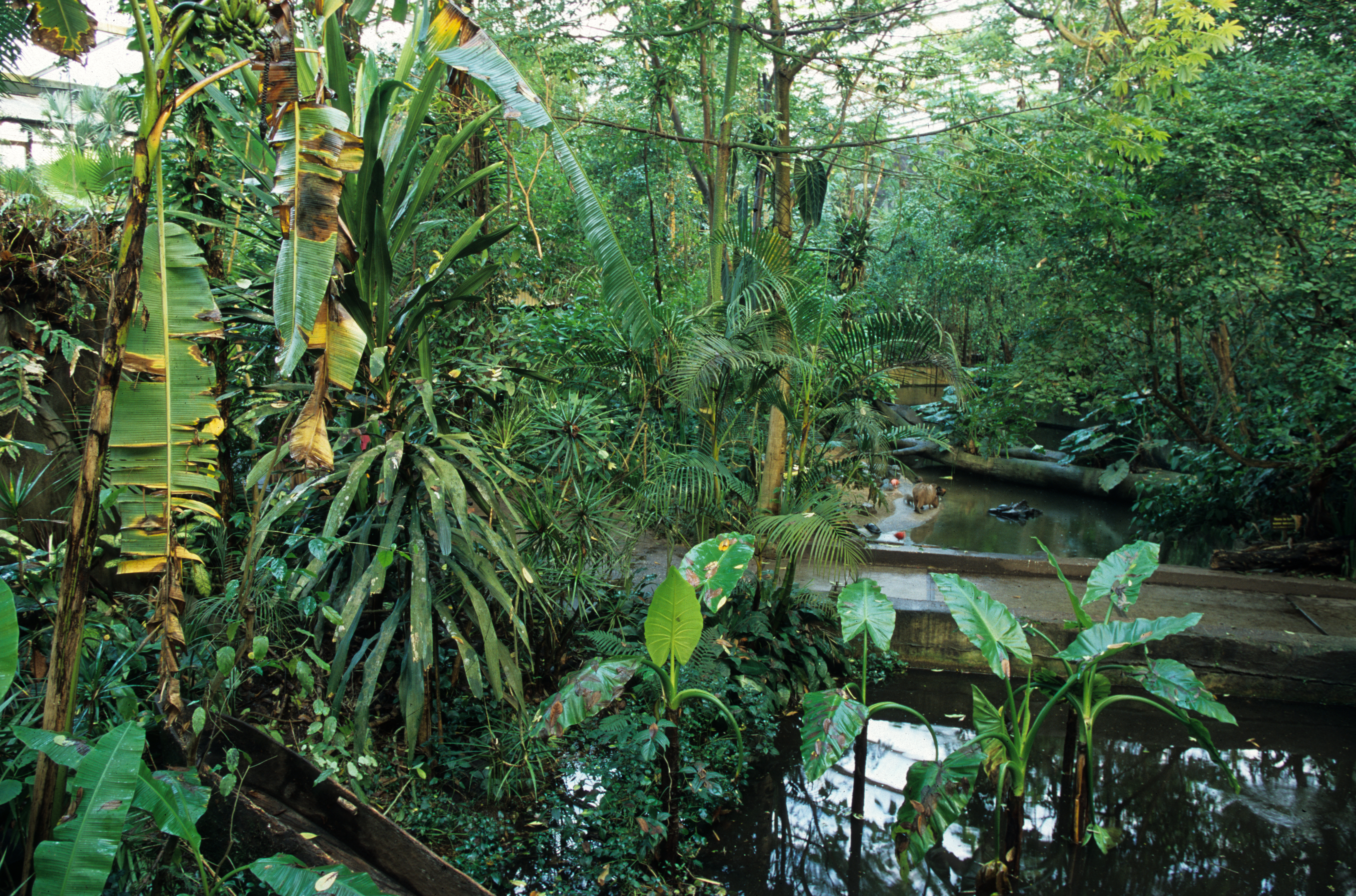 Wat is een ecodisplay? De Bush | Burgers' Zoo in Arnhem