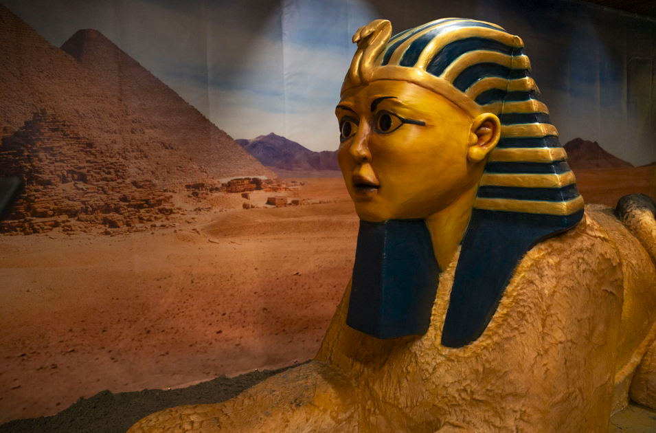 Sfinx | Burgers' Zoo in Arnhem