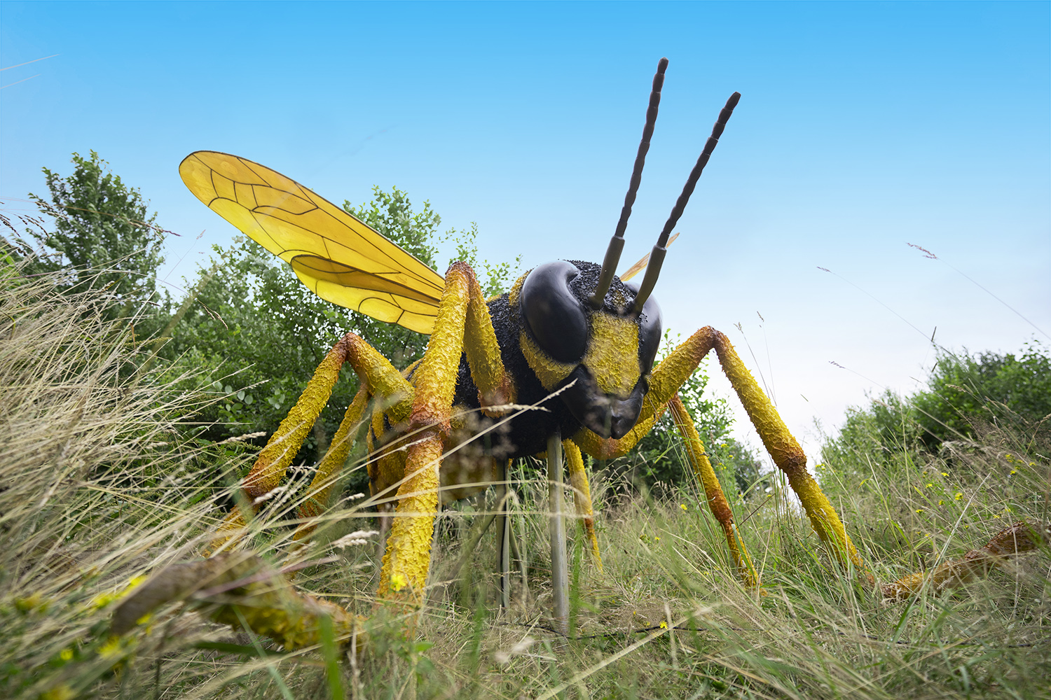 Big Insects | Burgers' Zoo in Arnhem