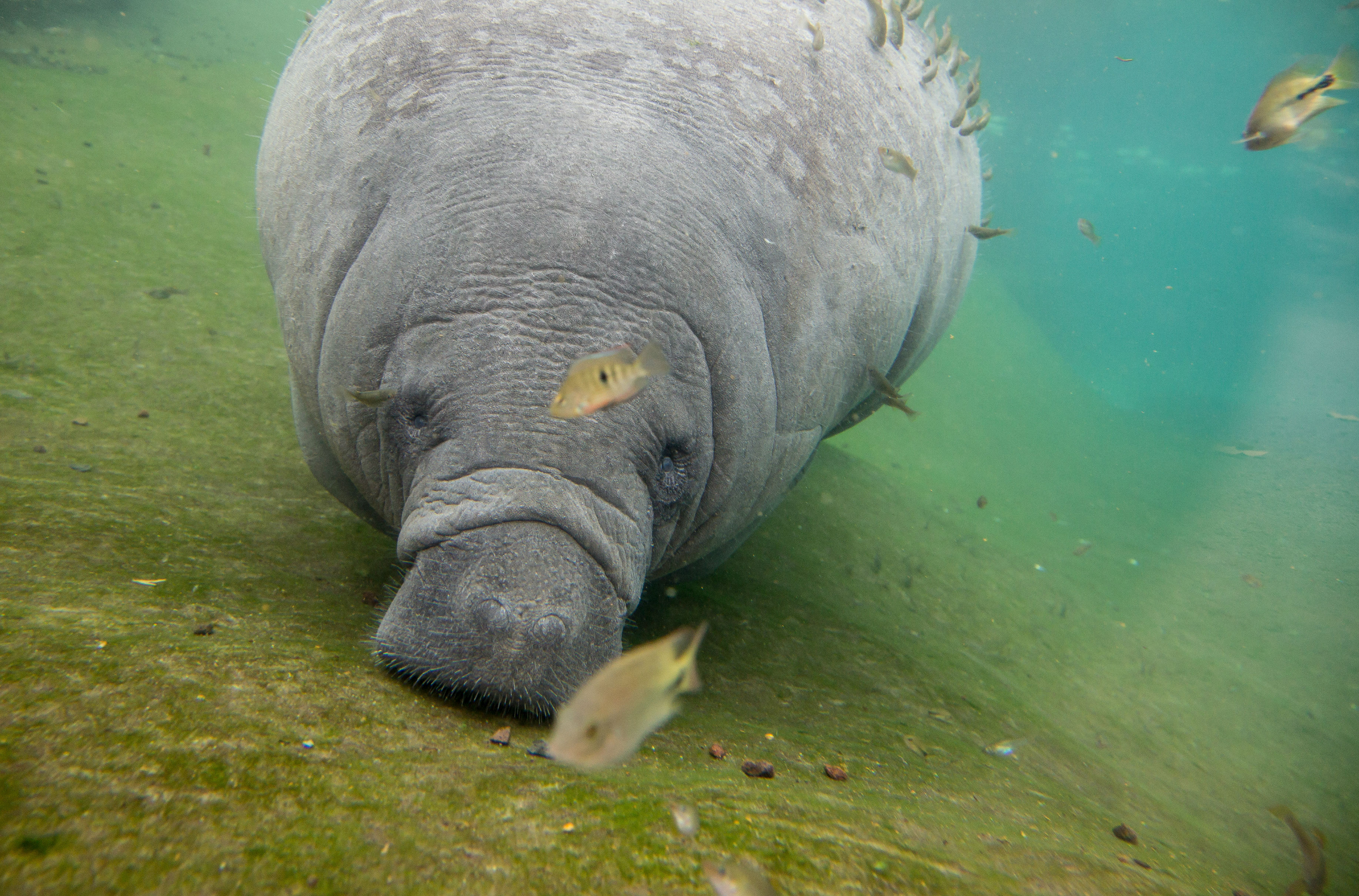Welkom bij dierentuin Burgers' Zoo! | Burgers' Zoo in Arnhem
