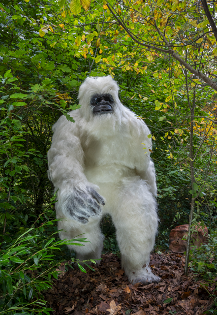Yeti | Burgers' Zoo in Arnhem