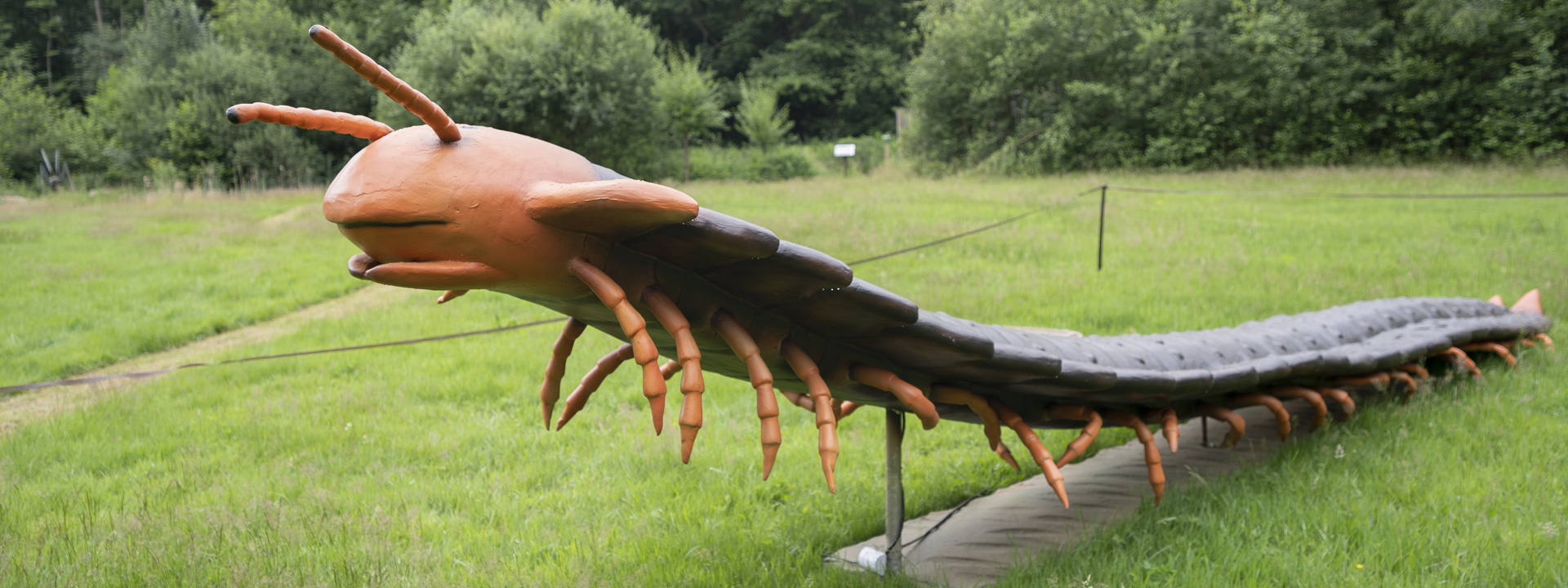 Big Insects | Burgers' Zoo in Arnhem
