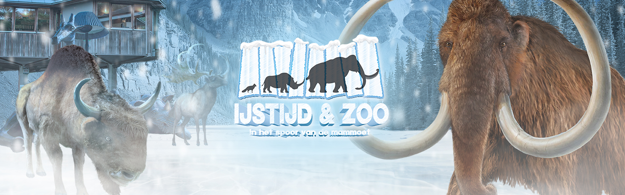 IJstijd & Zoo
